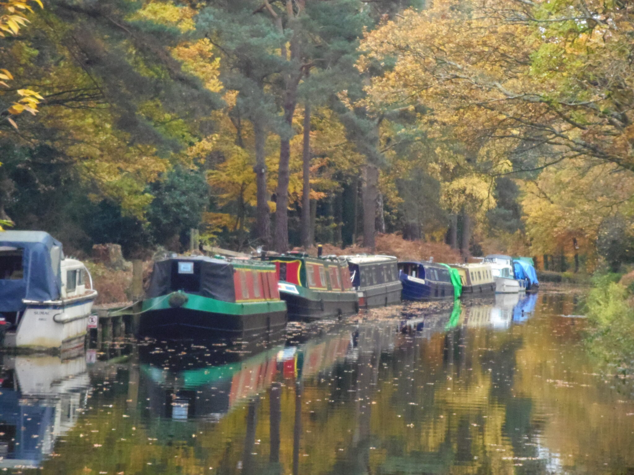 The Basingstoke Canal- Boating holiday routes by narrowboat.